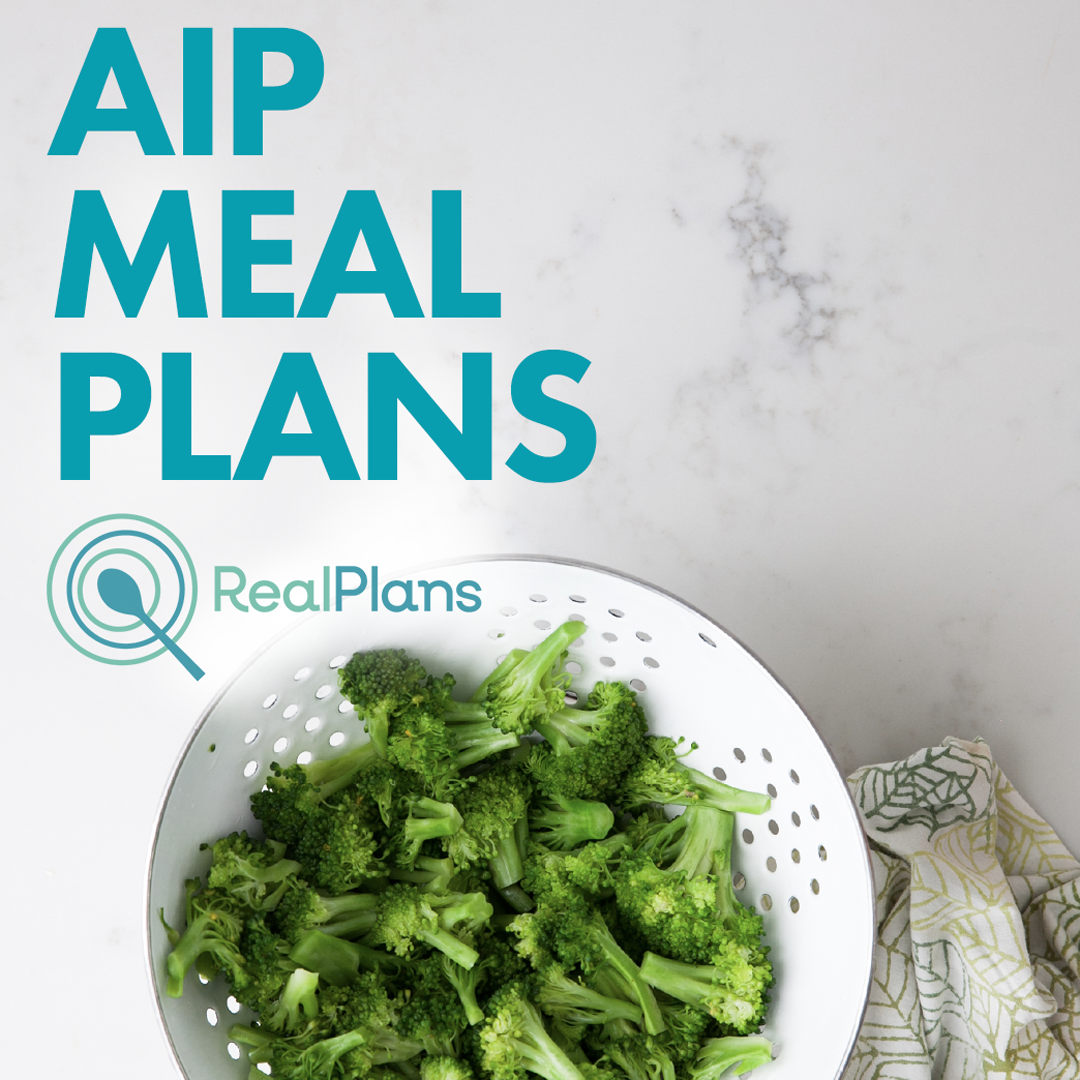 AIP Snack Guide • AIP Recipe Collection