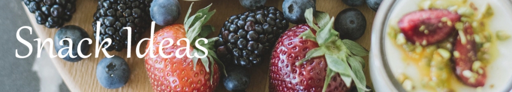 AIP Snack Guide • AIP Recipe Collection