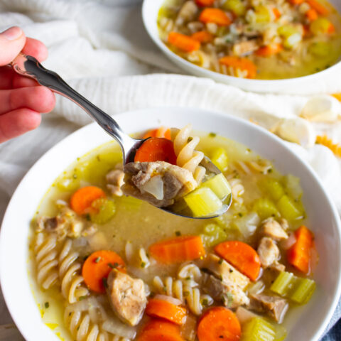 Chicken Noodle Soup • AIP Recipe Collection